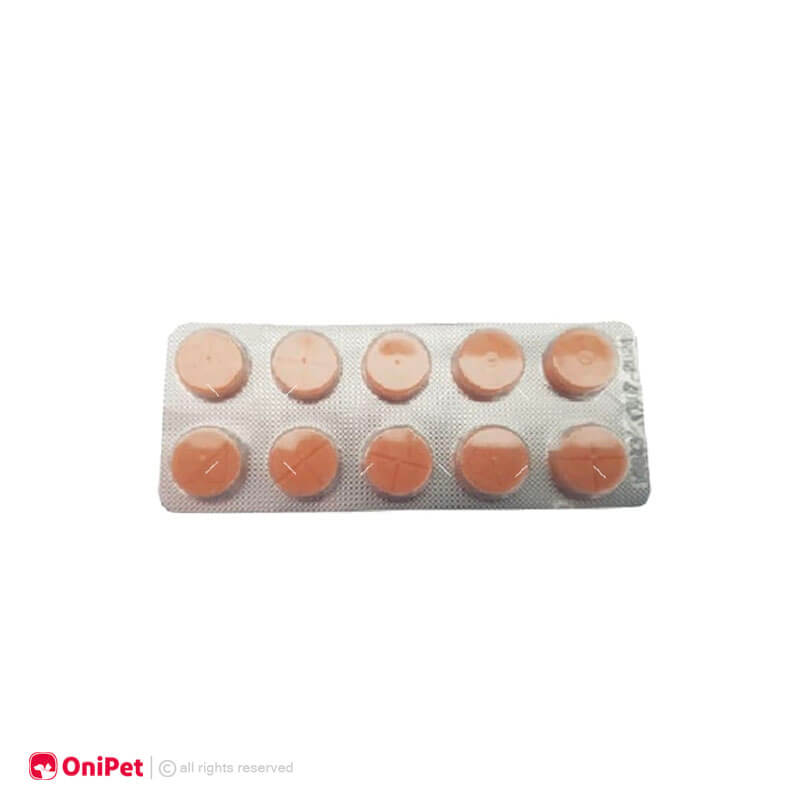 قرص ضد انگل سگ و گربه آلفاسان - پت شاپ اینترنتی آنیپتپت شاپ اینترنتی آنیپت